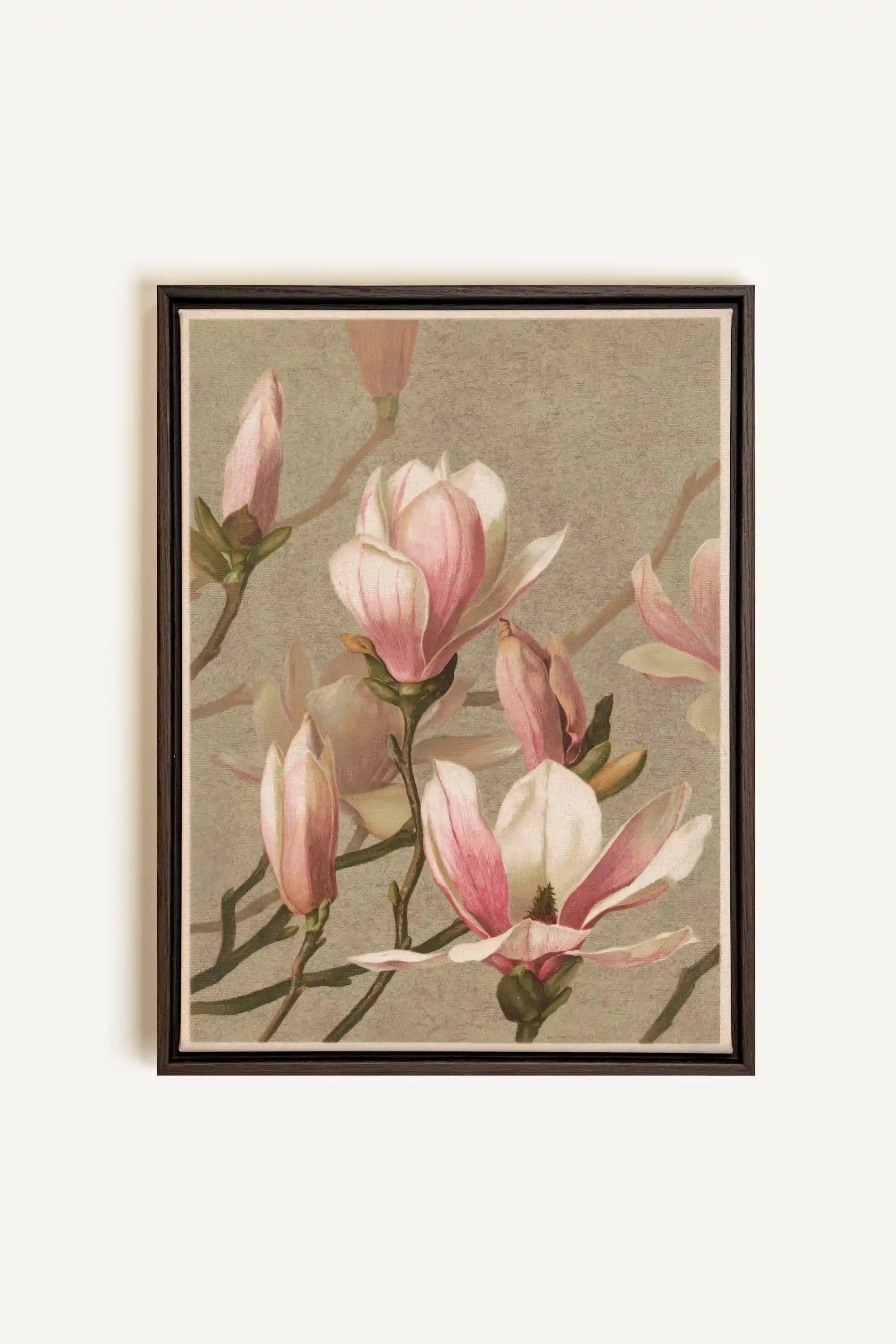 MAGNOLIA WHISPER, Oeuvre sur toile étirée, encadré Brun Noyer – Oleka ...